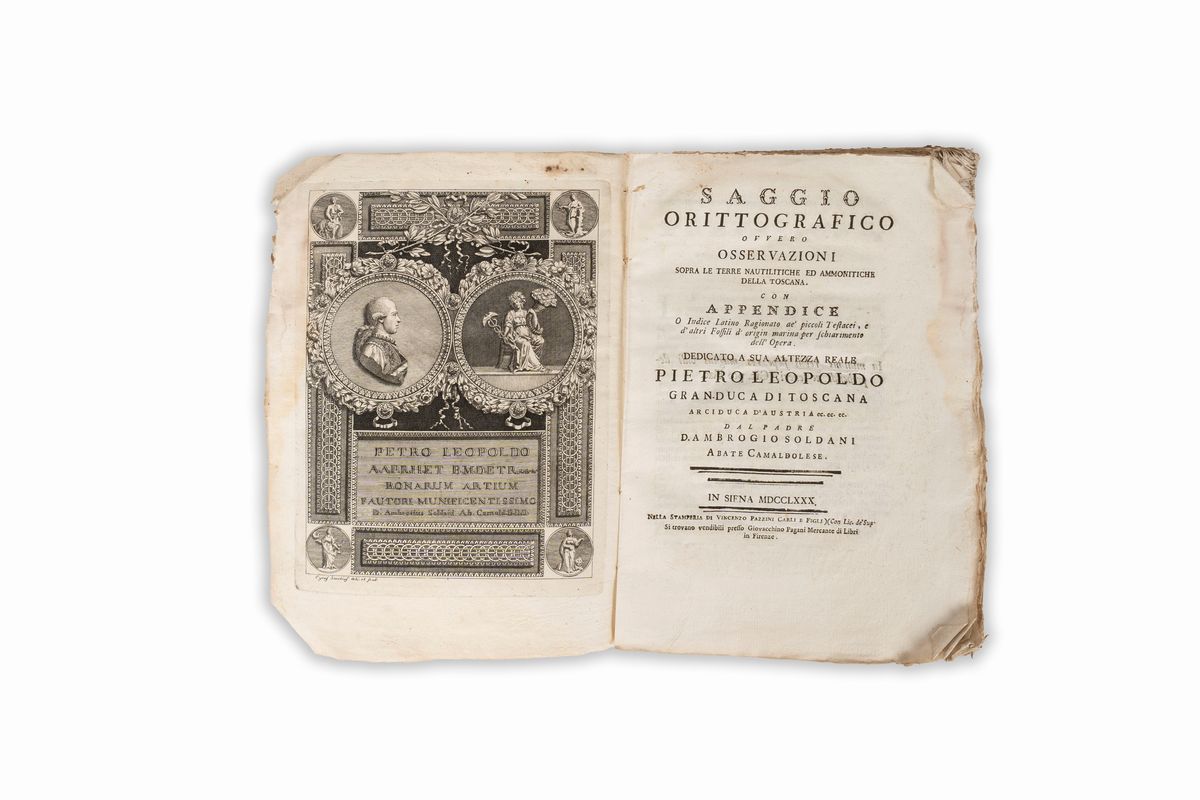 Fossili - Toscana - Soldani, Ambrogio - Orithographic essay or ...