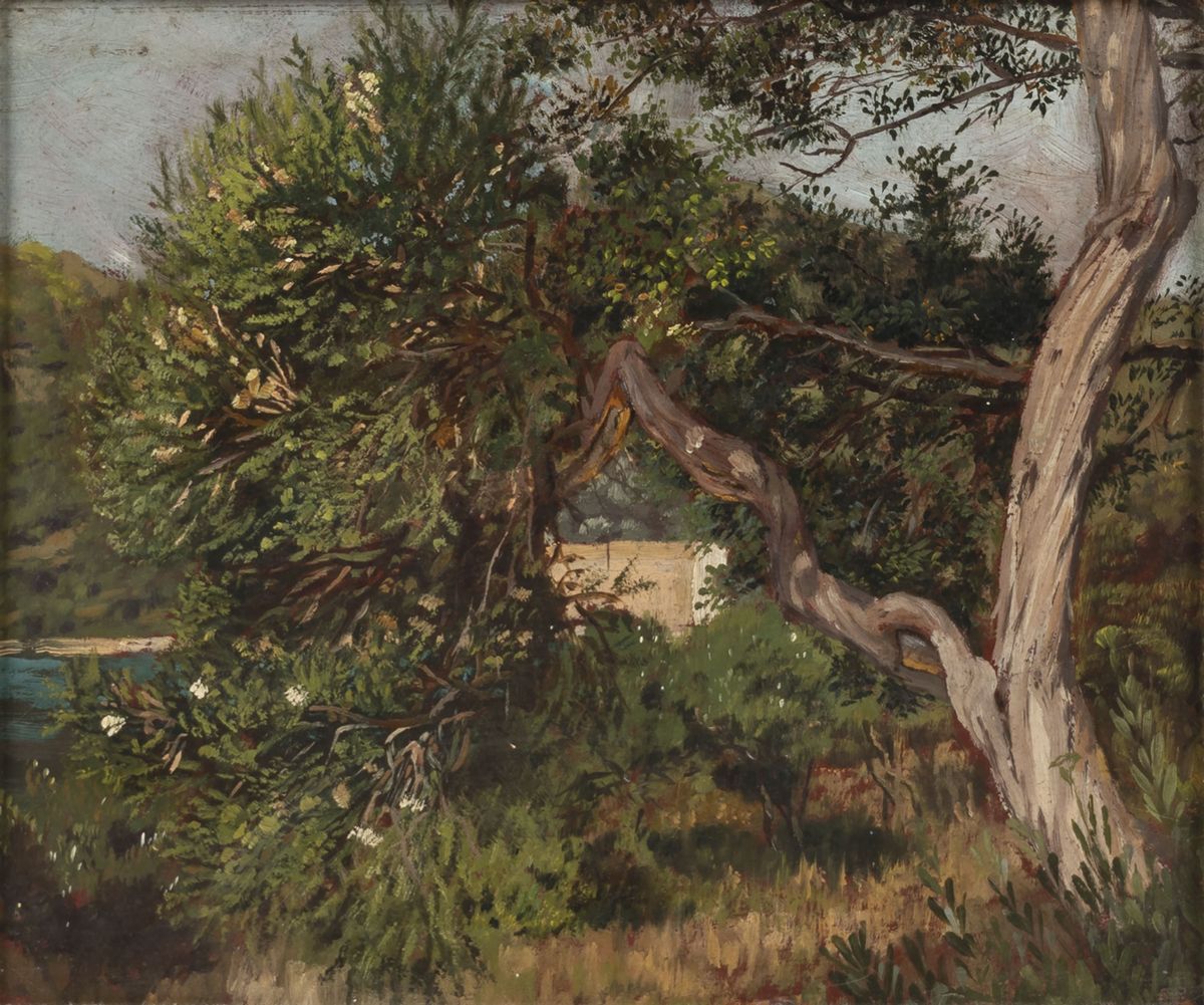 Max Roeder - Ischia, the myrtle tree | 19th and 20th Century Figurative ...