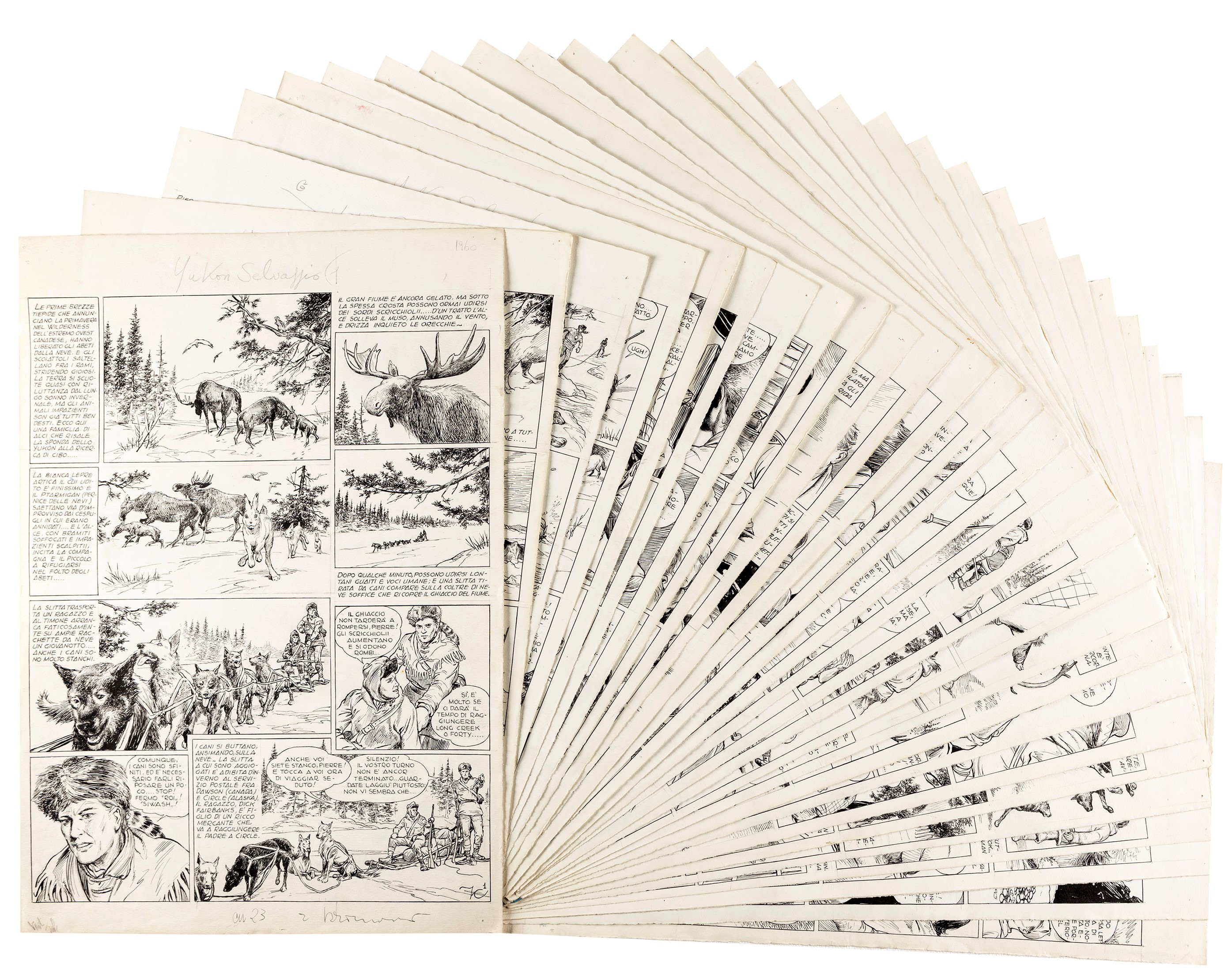 Franco Caprioli - Wild Yukon 1960 | Original Comic Arts & Illustrations ...