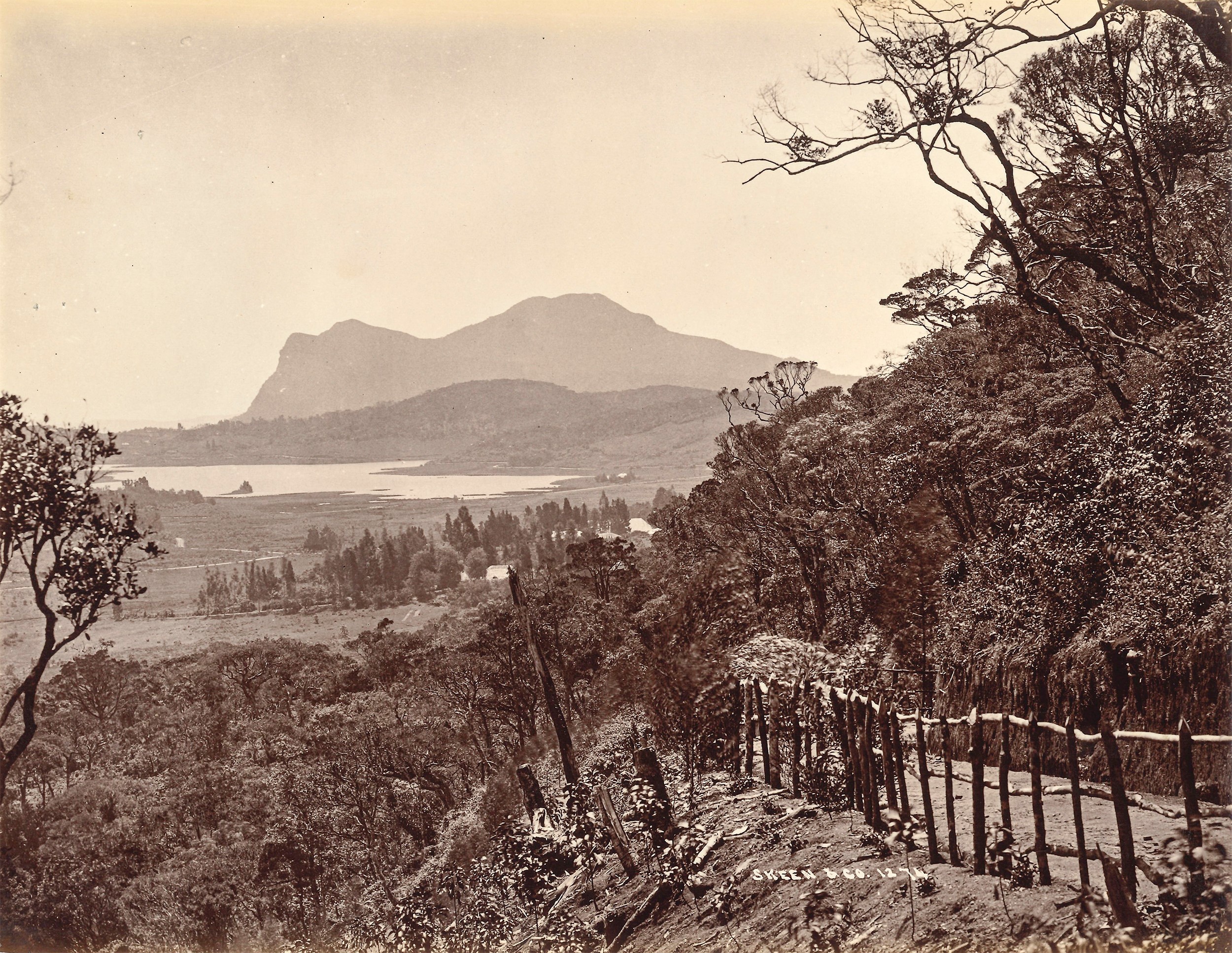 William Louis Henry Skeen & Co - Untitled (Ceylon) 1870s/1890s | Easy ...