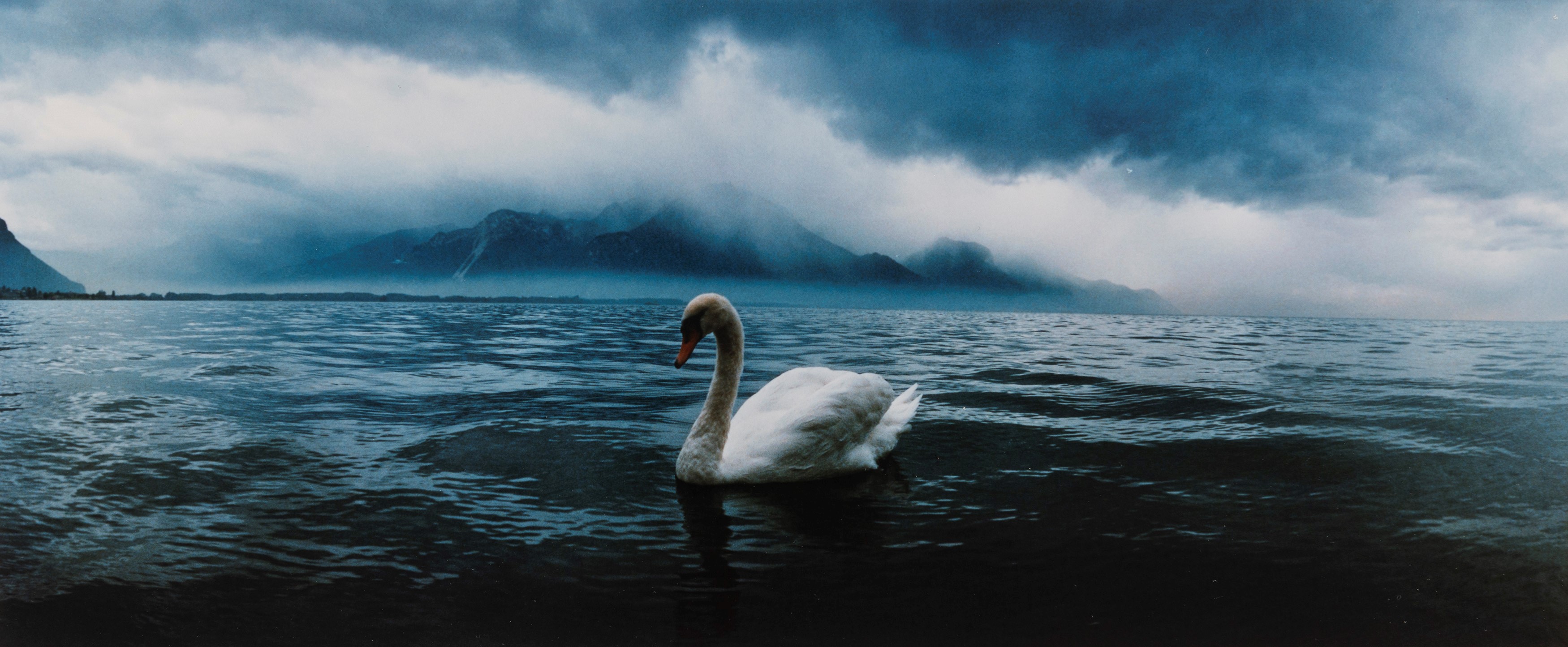 Everton Macduff - Lac Léman (Lake Geneva), Switzerland 1990s/2000s ...