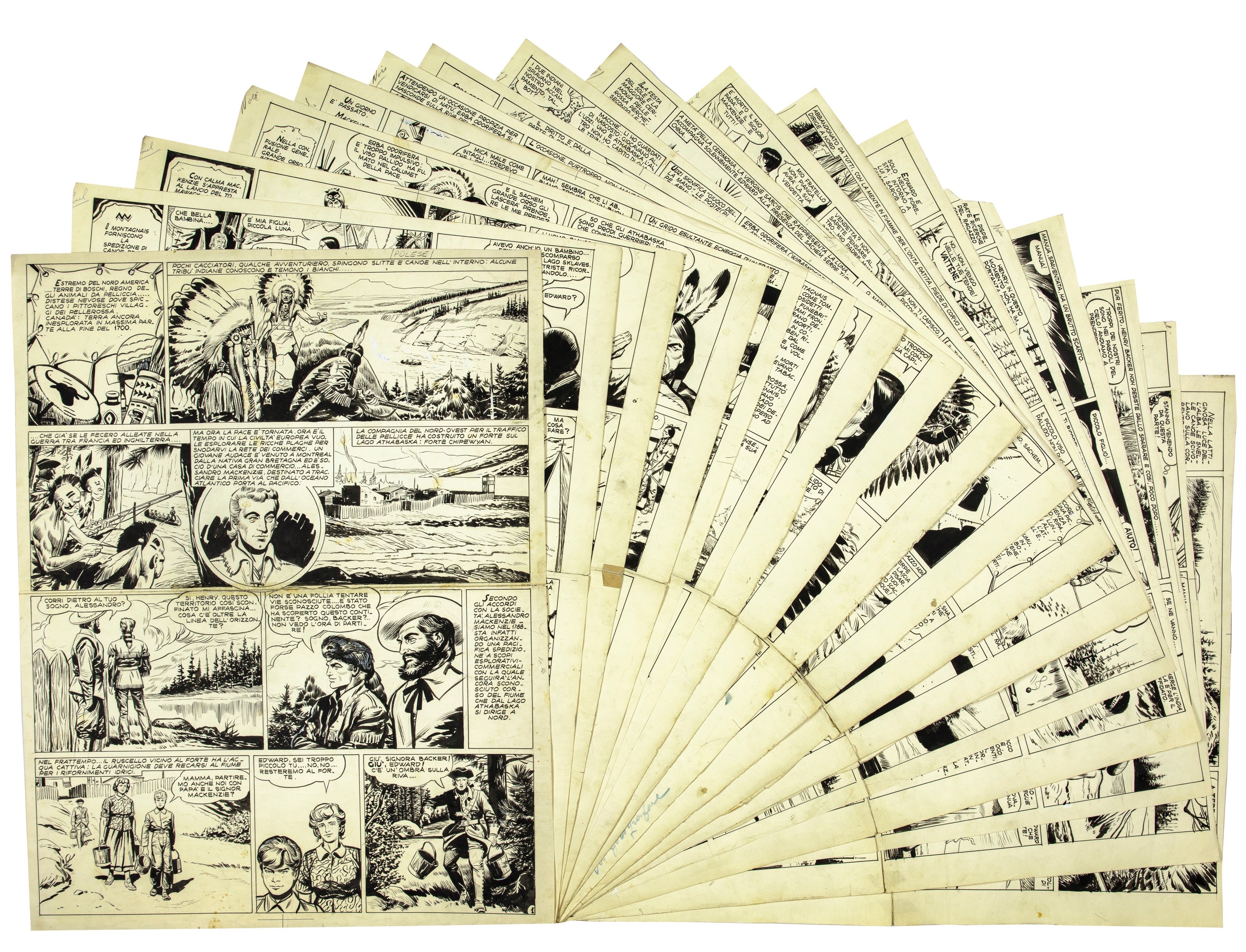 Renato Polese - Lupo Bianco 1953 | Original Comic Arts & Illustrations ...