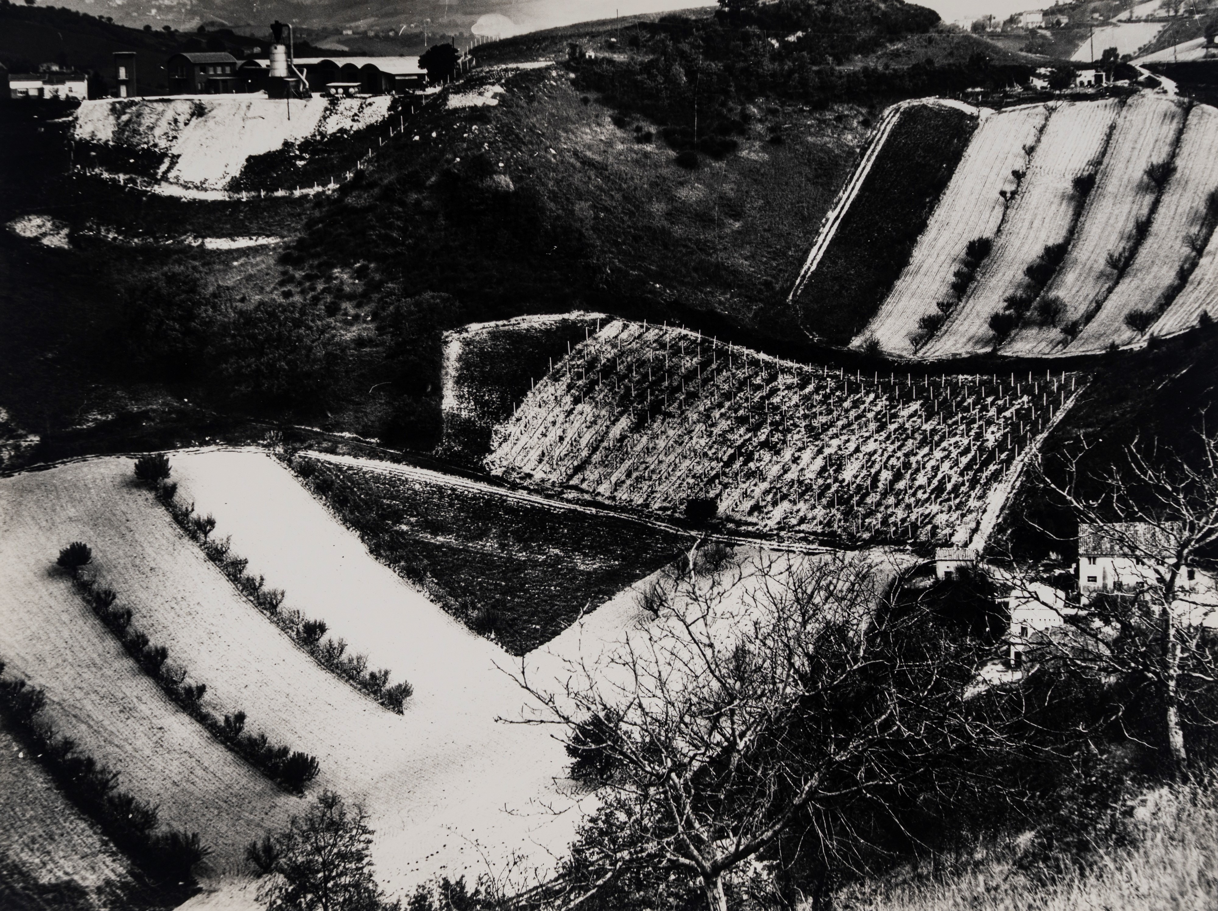 Mario Giacomelli - Presa di coscienza sulla natura 1975/1985 | Italian ...
