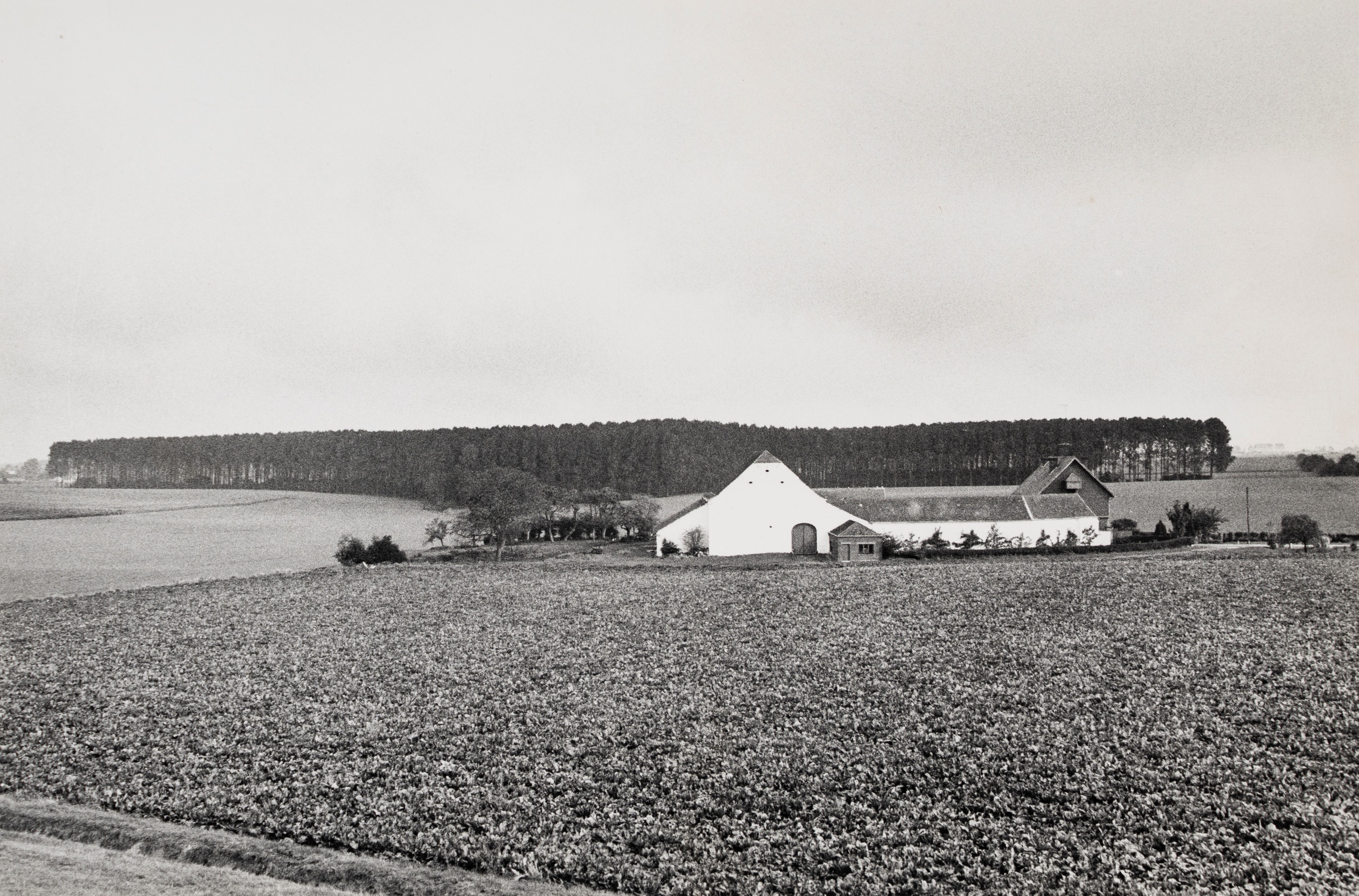 Toni Nicolini - Untited (Around Bruxelles) 1980s | Italian Photography ...