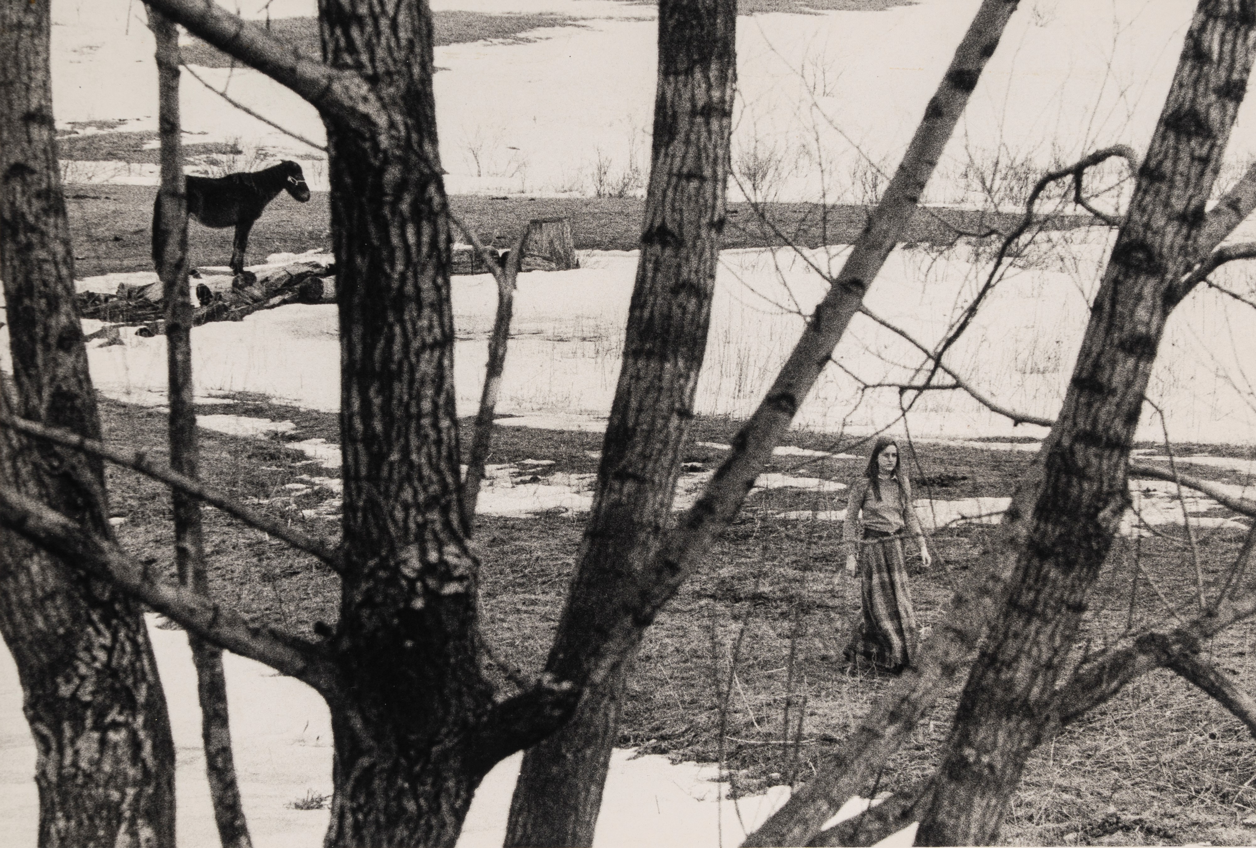 Gianni Berengo Gardin - Untitled 1970s | Italian Photography: Under 1K ...