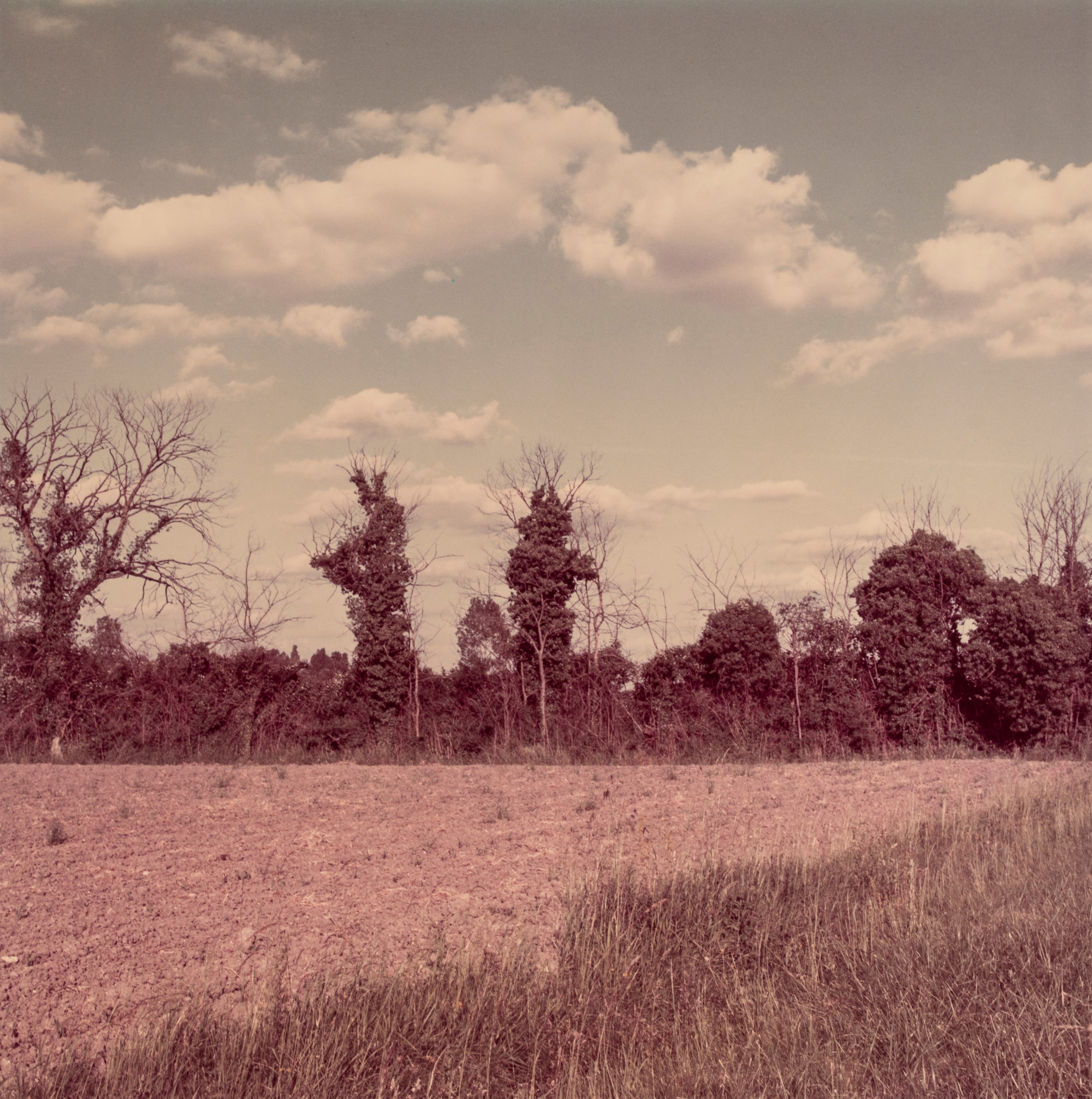 Olivo Barbieri - Richelieu 1983 | Italian Photography: Under 1K ...