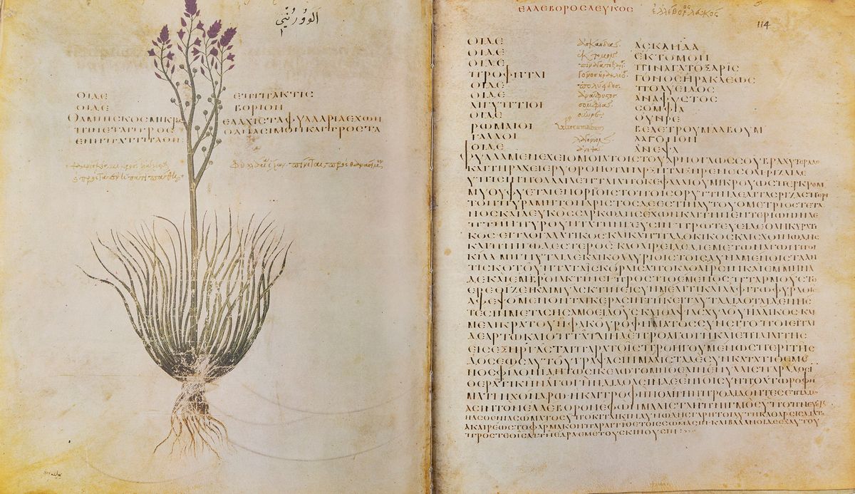 Dioscurides - Codex Vindobonensis Medicus Graecus 1 1970 | L’arte di ...