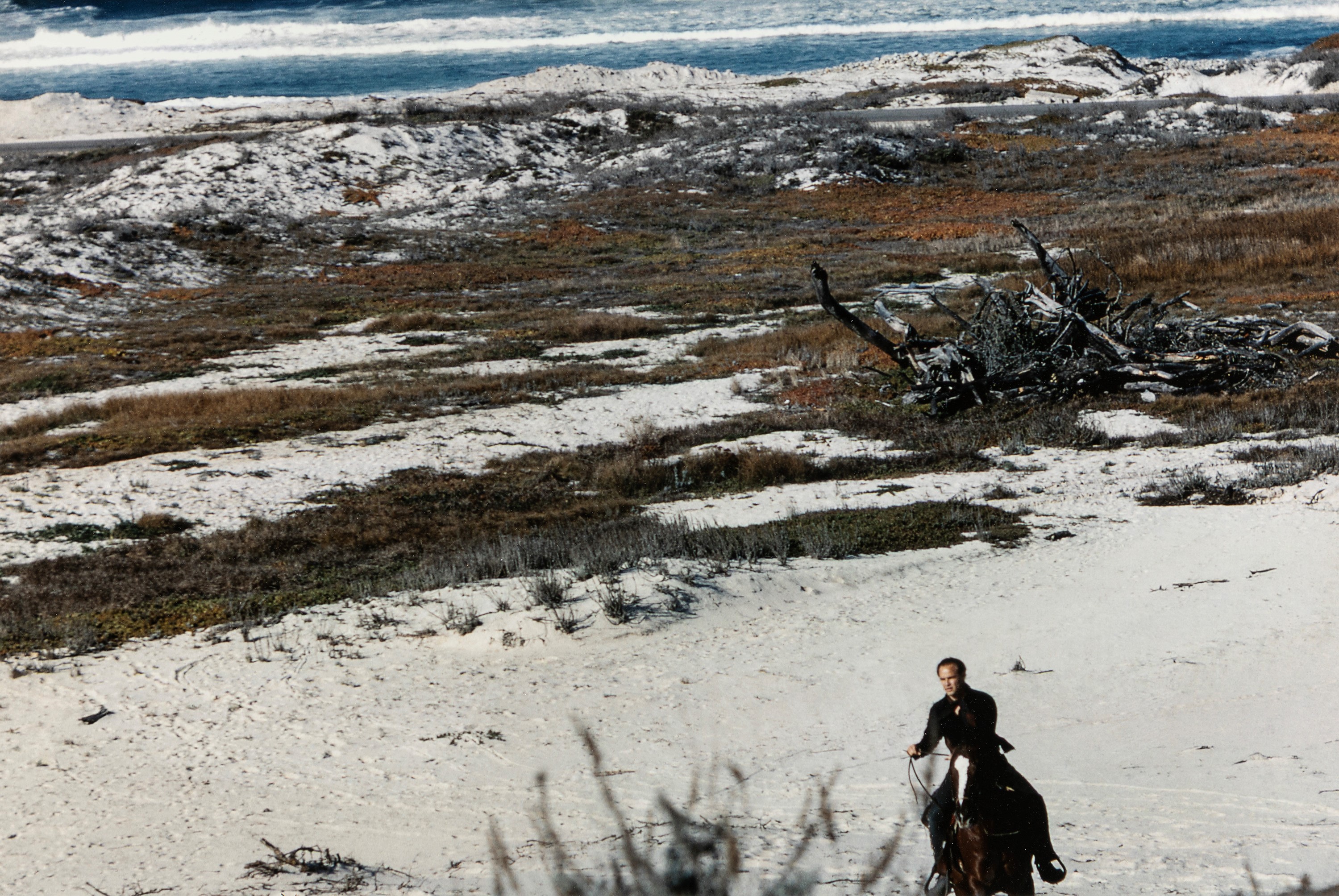 Sam Shaw - Marlon Brando anni 1950 | Fotografia: Under 1K | Finarte ...